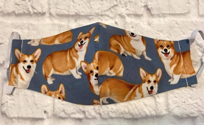 Corgi - Coughy Filter Masks