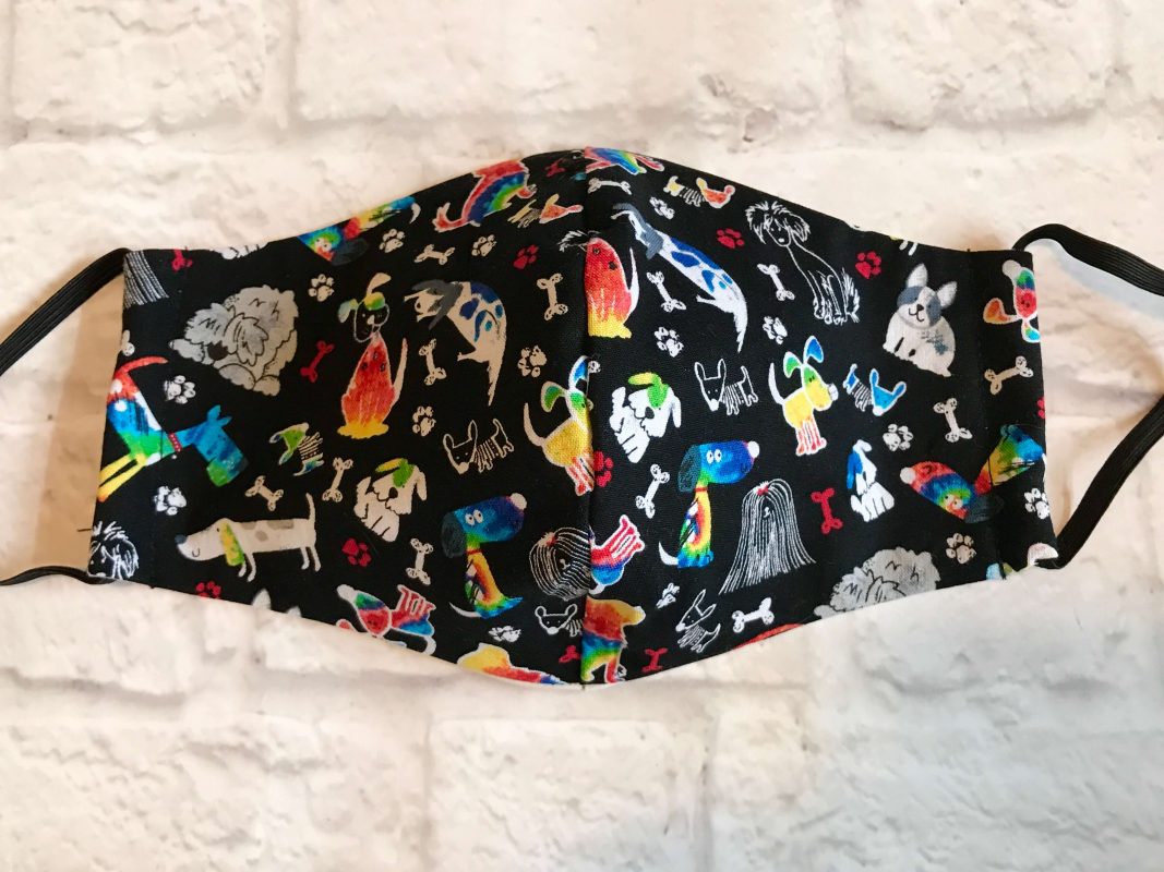 Rainbow Doggo - Coughy Filter Masks